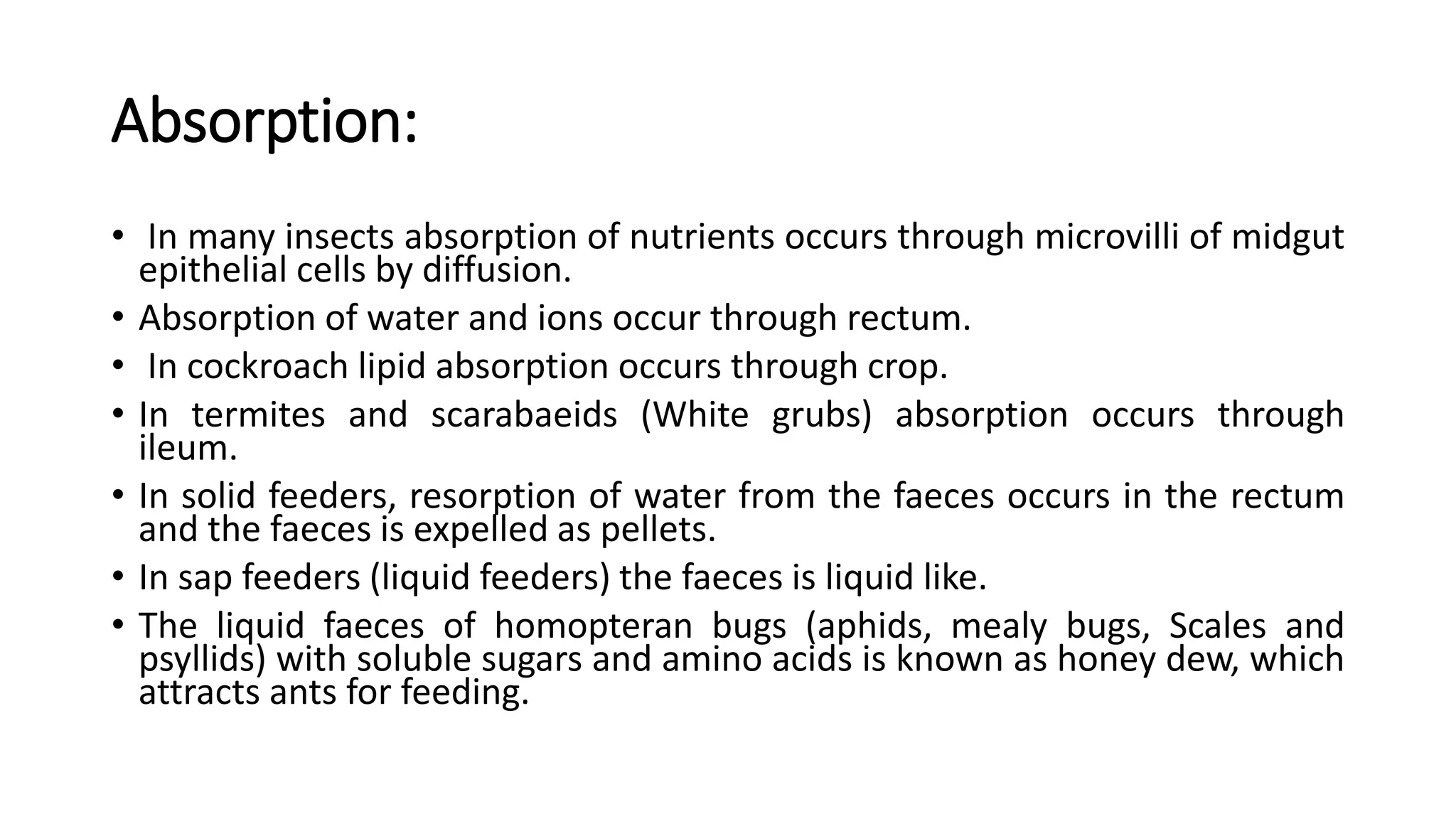 Digestive system of insect | PPTX