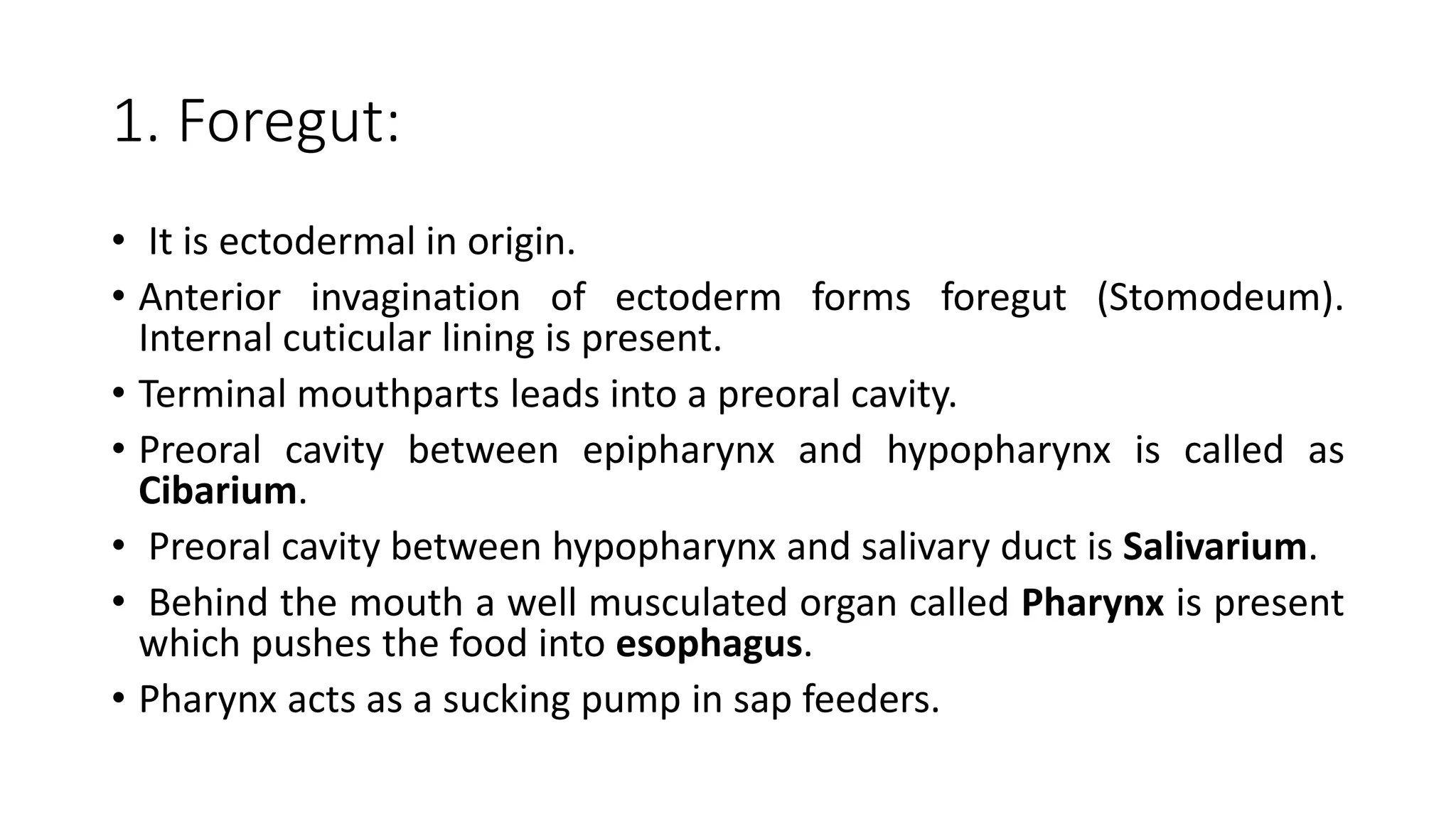 Digestive system of insect | PPTX