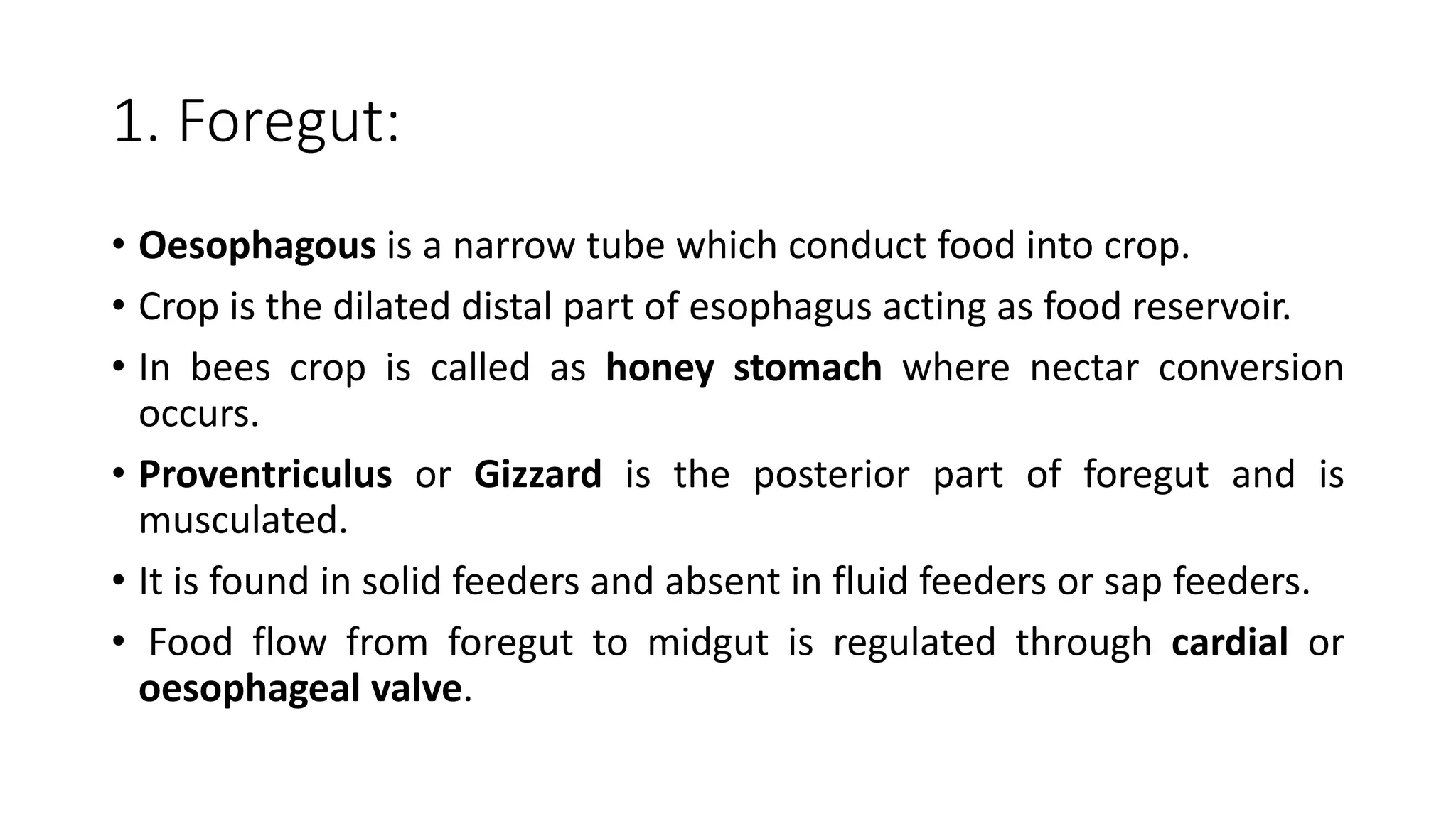 Digestive system of insect | PPTX