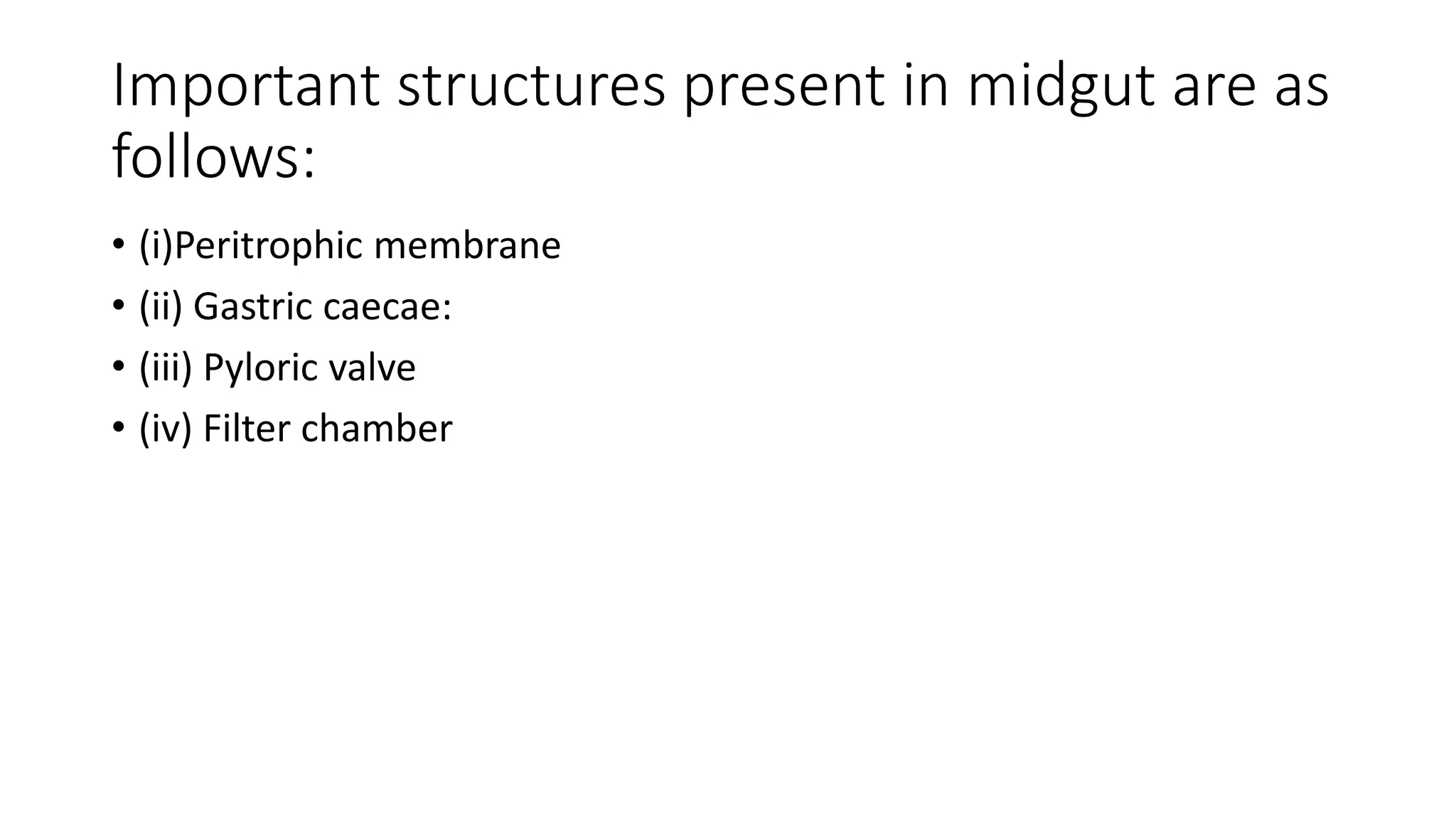 Digestive system of insect | PPTX