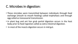 Digestive system of insect | PPTX