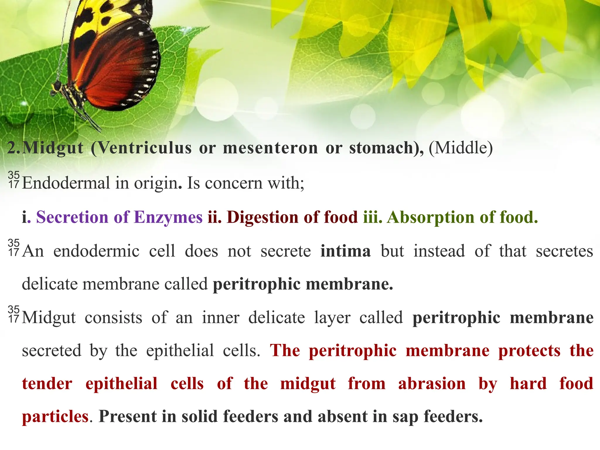 To study Digestive system of insect.pptx
