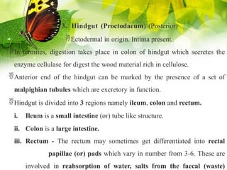 To study Digestive system of insect.pptx