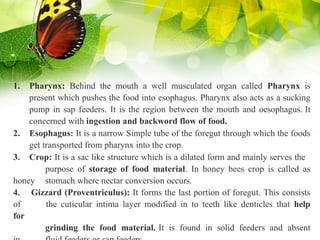 To study Digestive system of insect.pptx