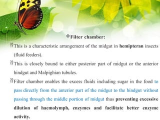 To study Digestive system of insect.pptx