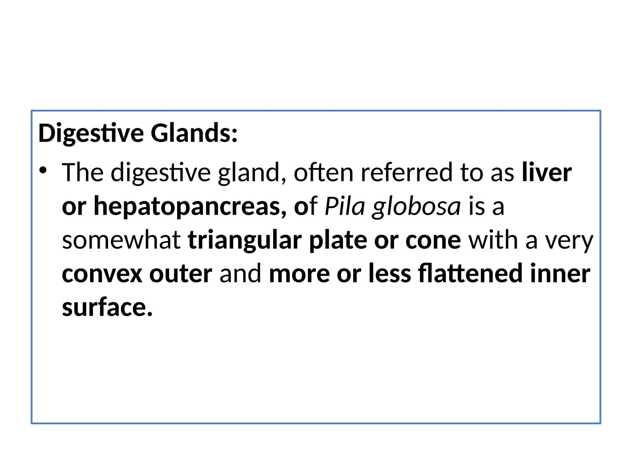 analysis of Digestive System of Pila.pptx