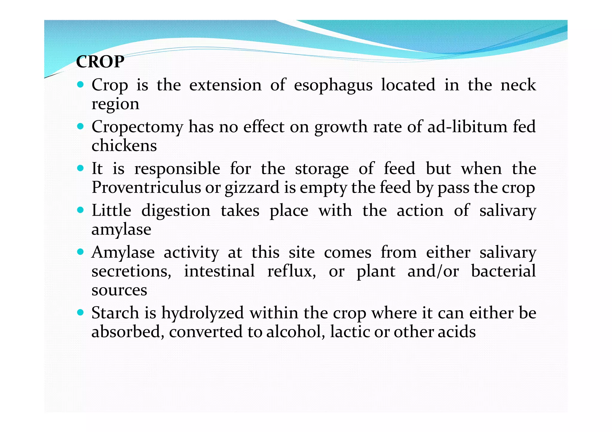 Digestive system of poultry (avian physiology) | PDF
