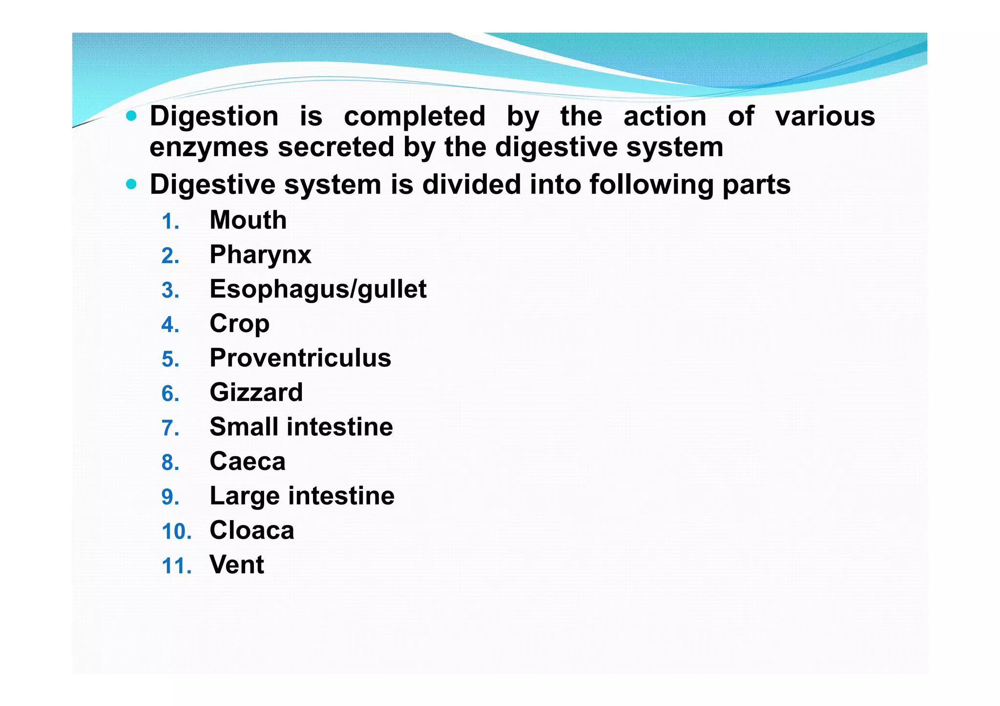 Digestive system of poultry (avian physiology) | PDF