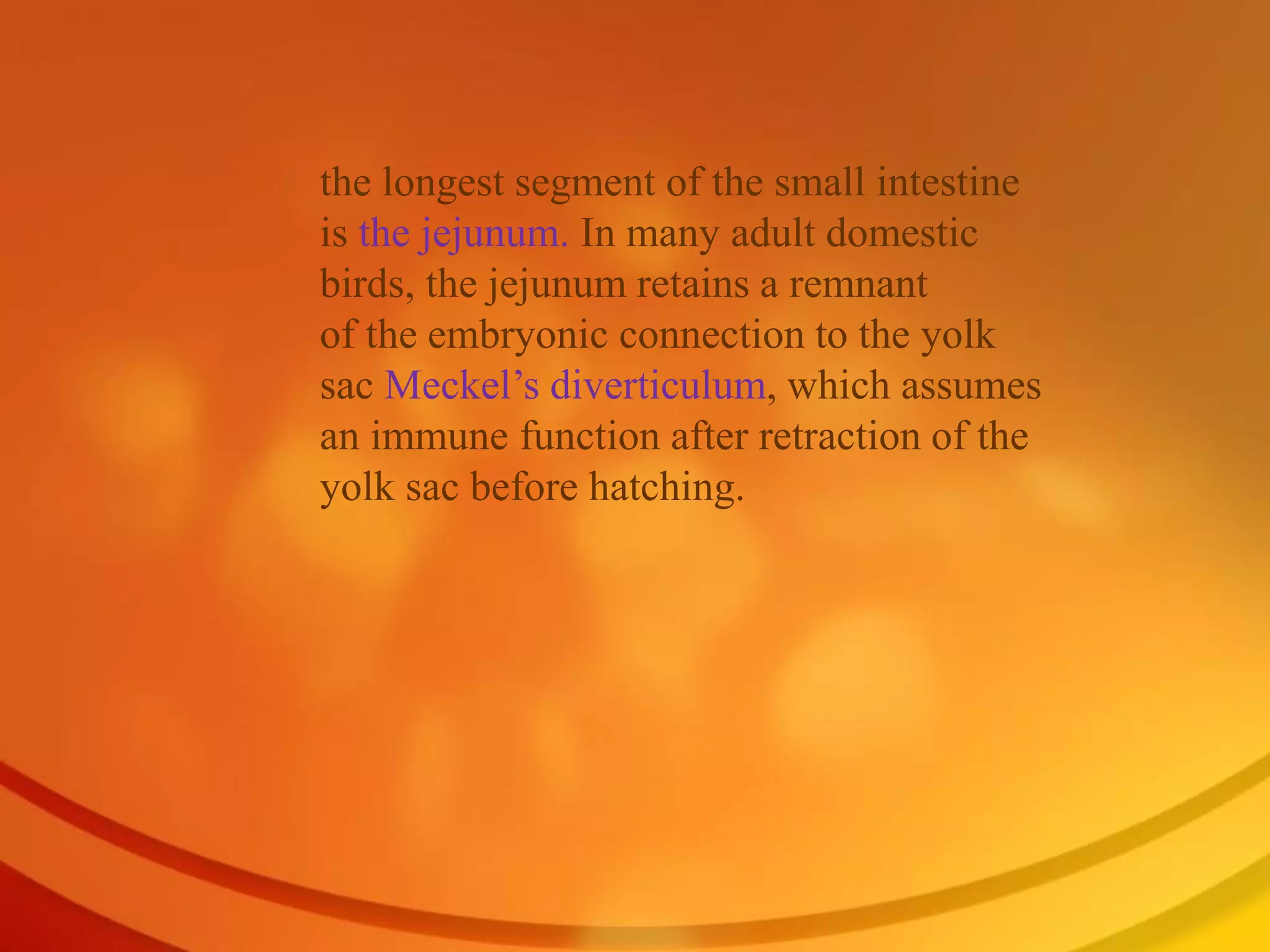 Digestive system of poultry | PDF