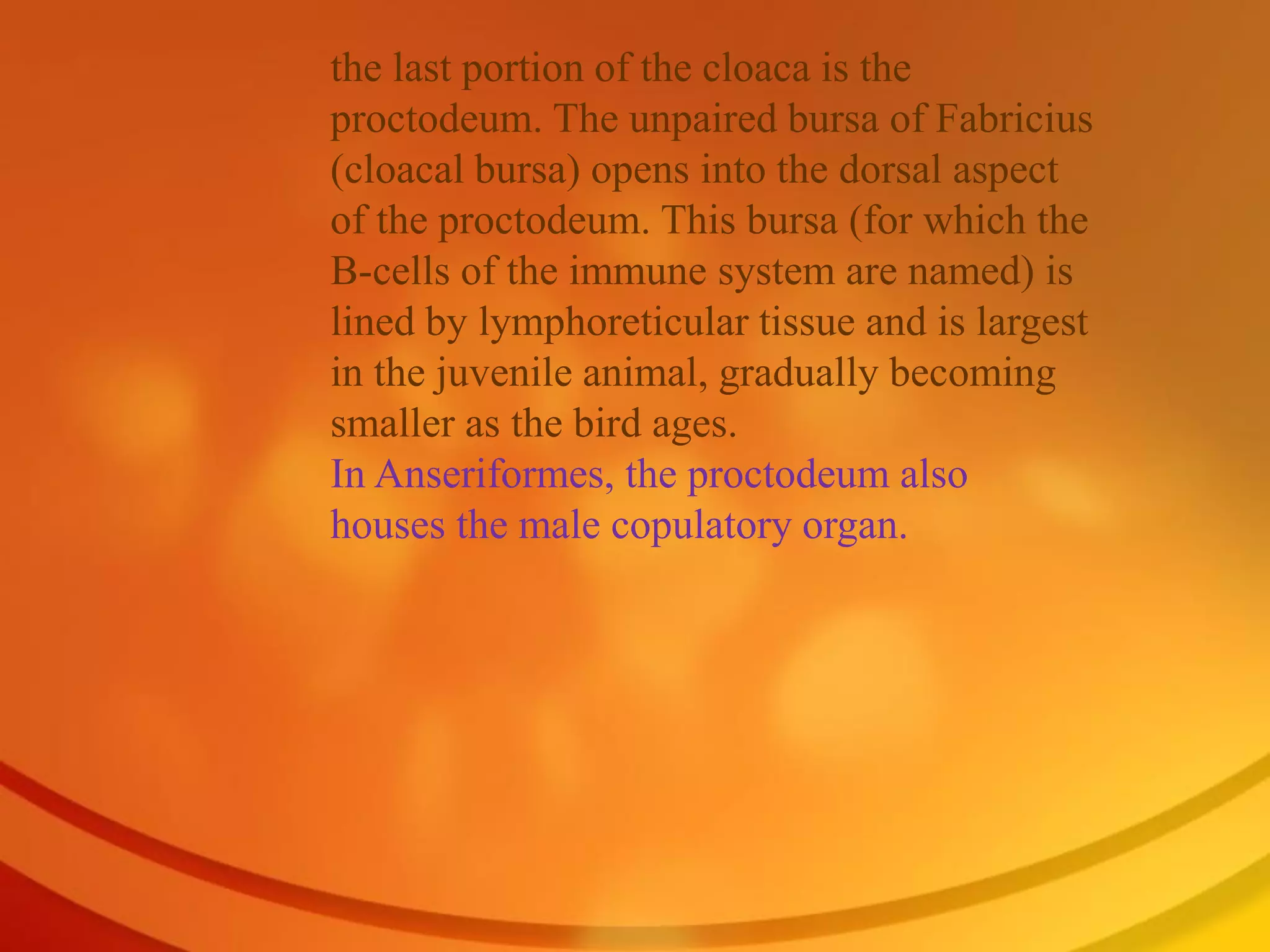 Digestive system of poultry | PDF | Birds | Pets