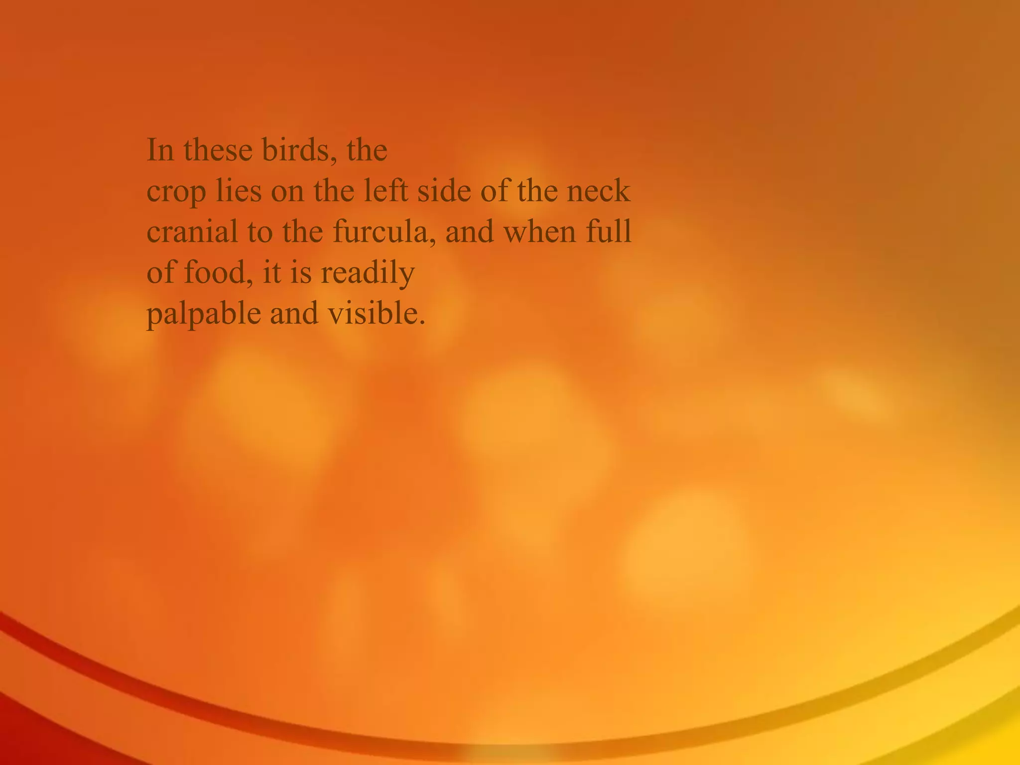 Digestive system of poultry | PDF