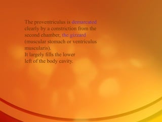 Digestive system of poultry | PDF