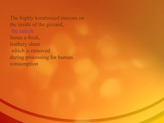 Digestive system of poultry | PDF