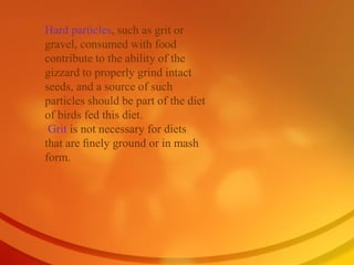 Digestive system of poultry | PDF
