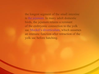 Digestive system of poultry | PDF