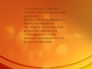 Digestive system of poultry | PDF