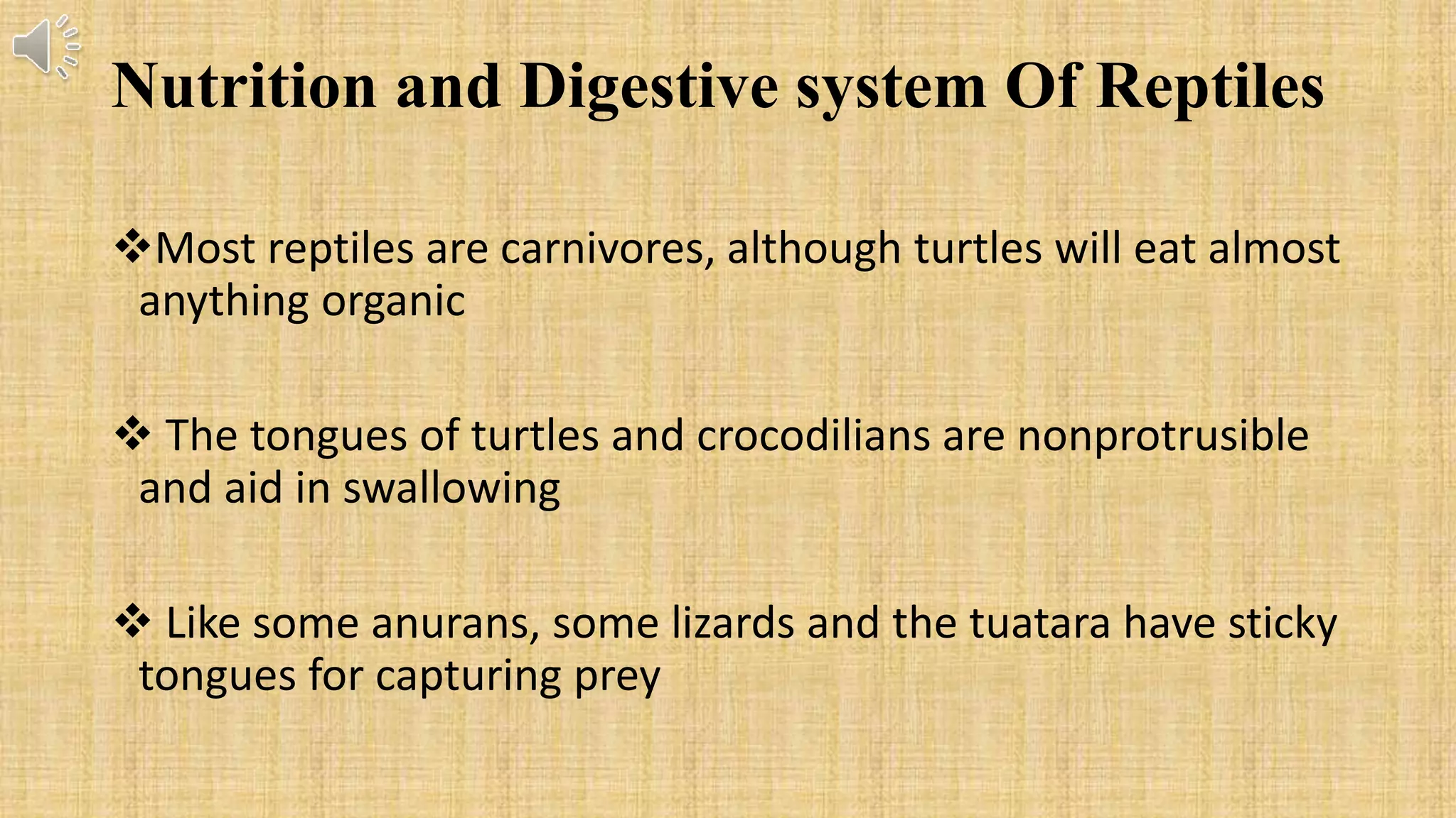 Digestive system of reptiles | PPTX