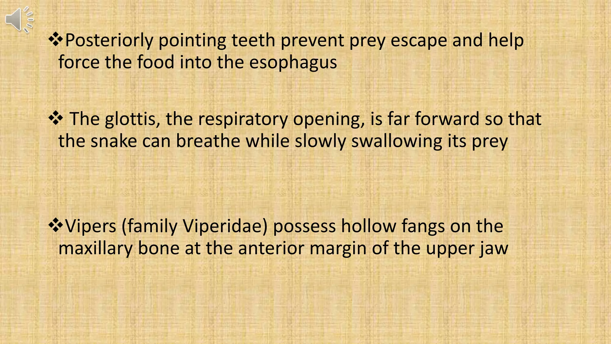 Digestive system of reptiles | PPTX