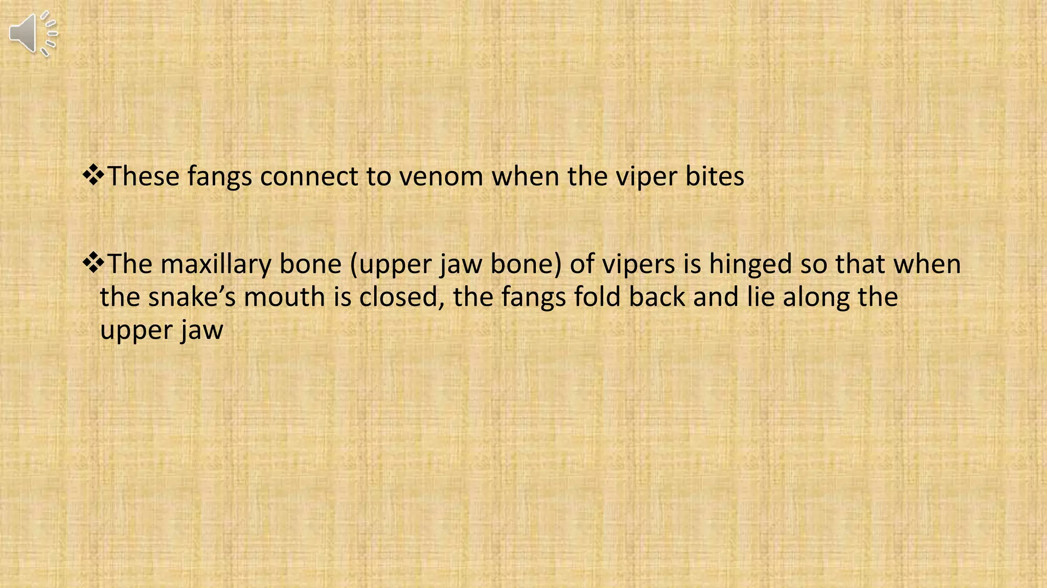 Digestive system of reptiles | PPTX