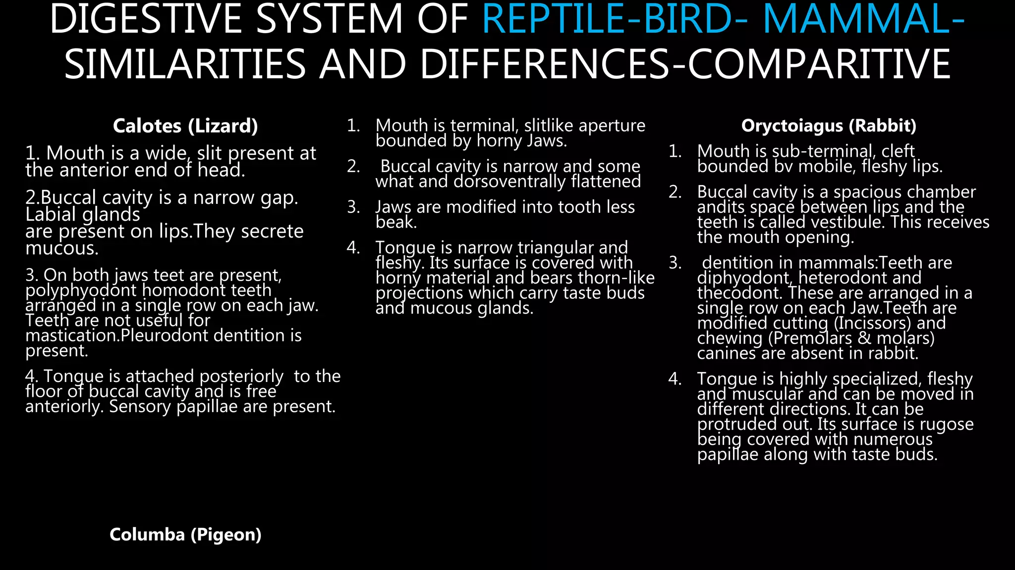 Digestive system of reptiles, birds and mammals | PPTX