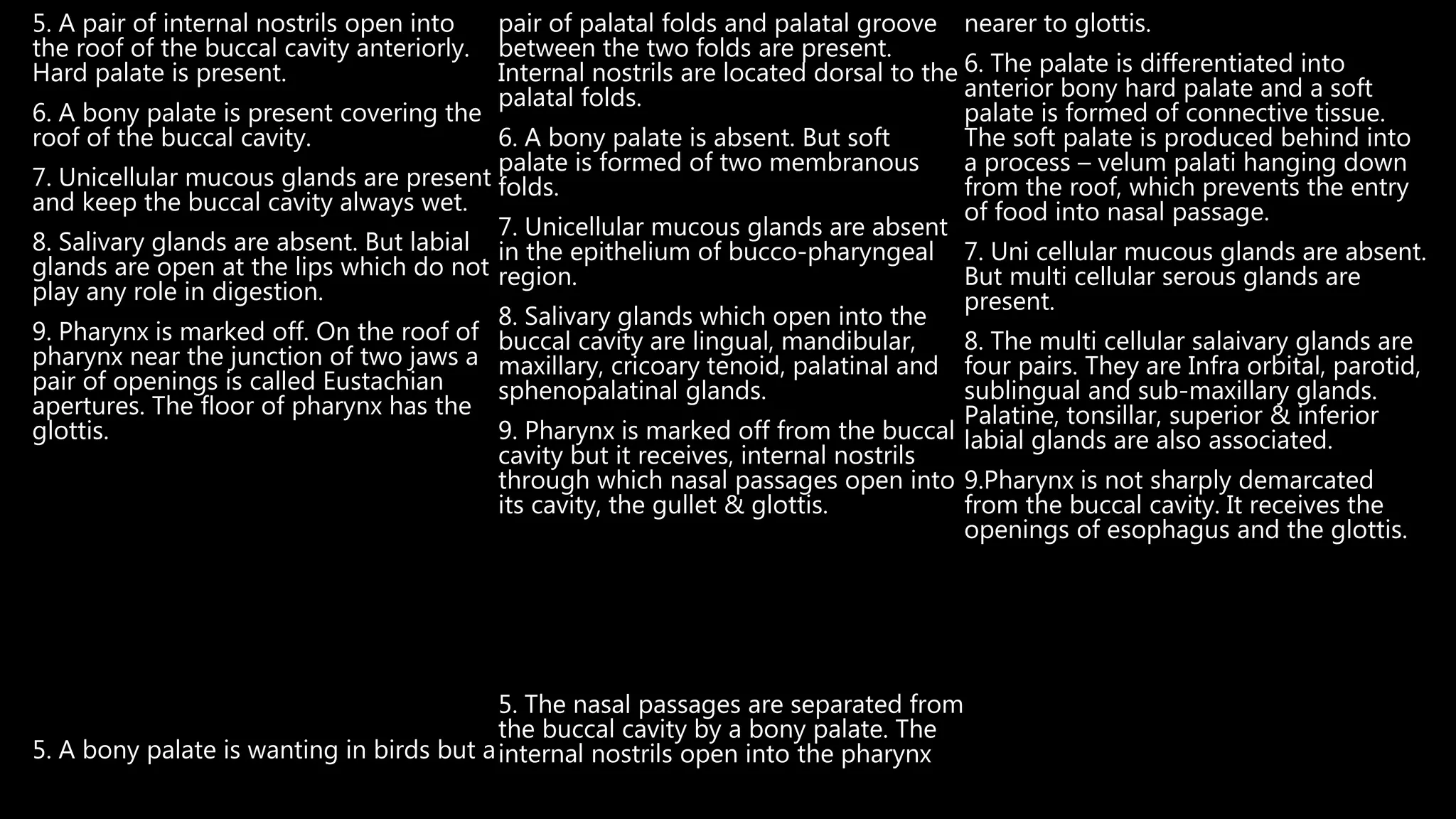 Digestive System Of Reptiles Birds And Mammals Ppt