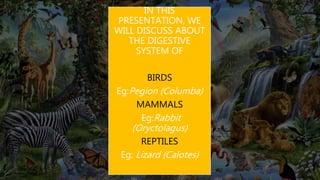 Digestive system of reptiles, birds and mammals | PPTX