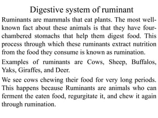 digestive system of ruminants.pptx