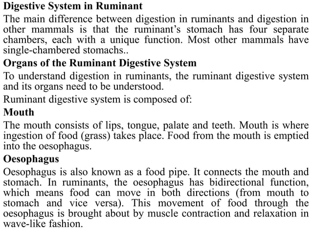 digestive system of ruminants.pptx