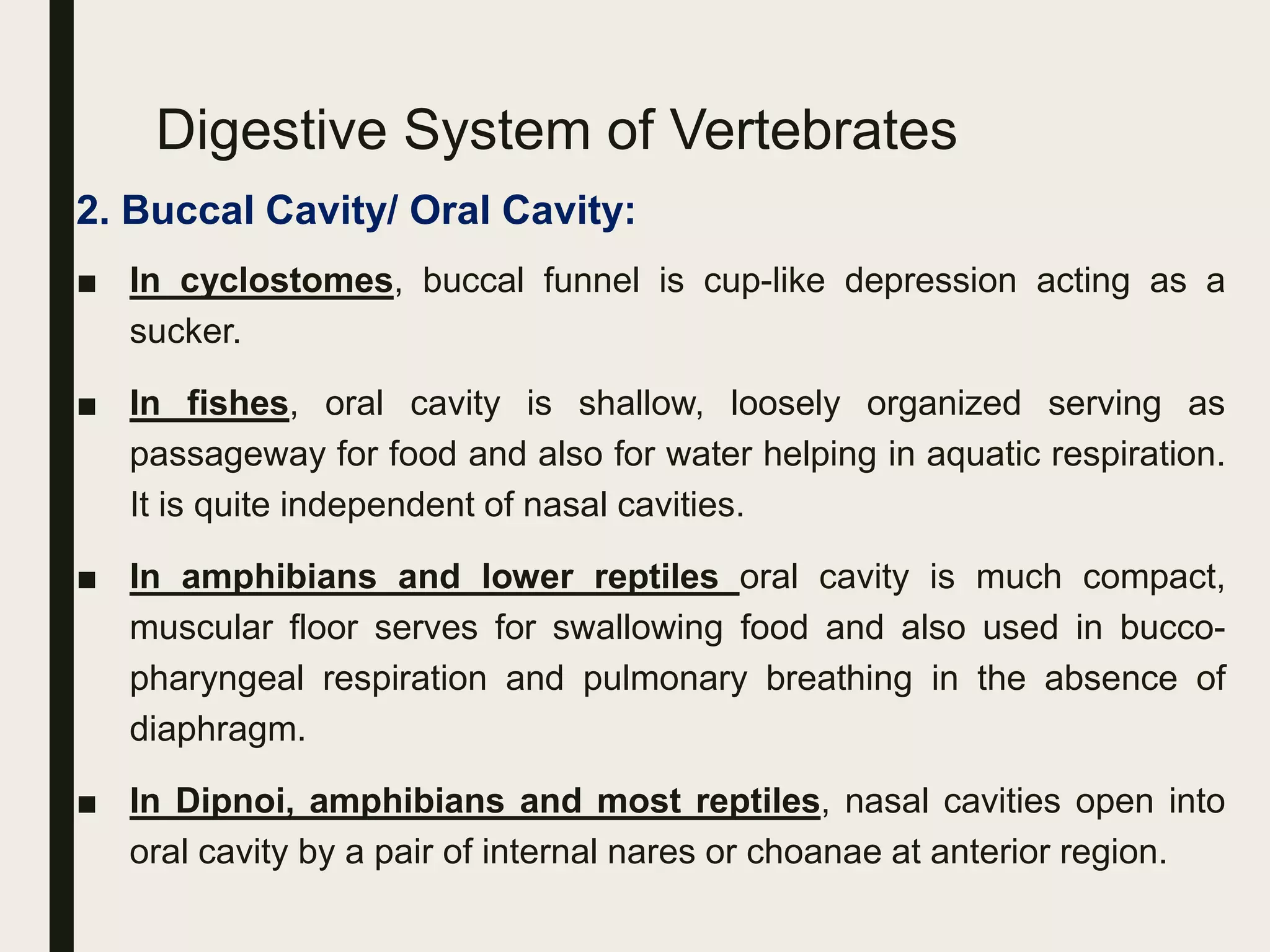 Digestive system of vertebrates | PPTX