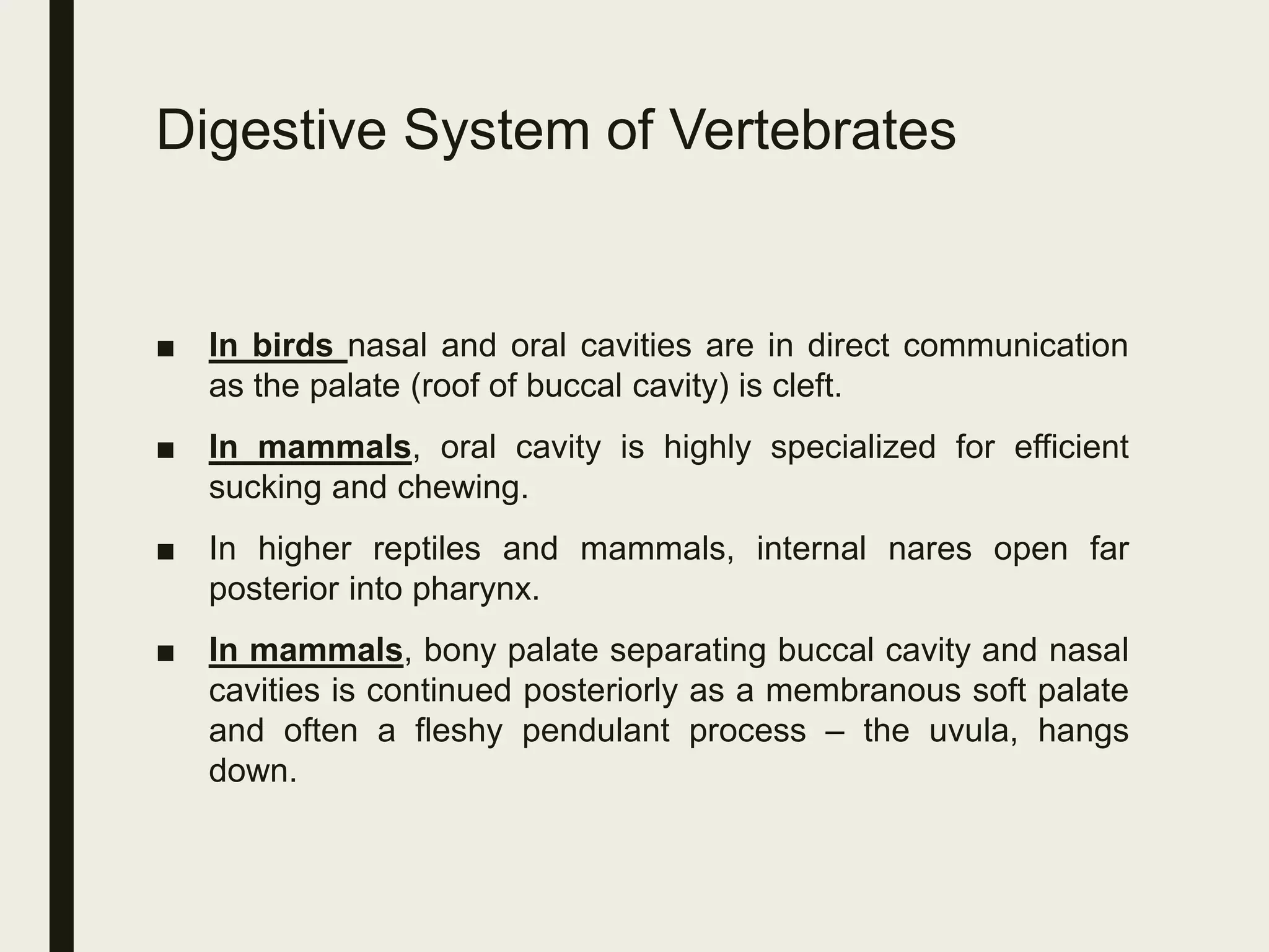 Digestive system of vertebrates | PPTX