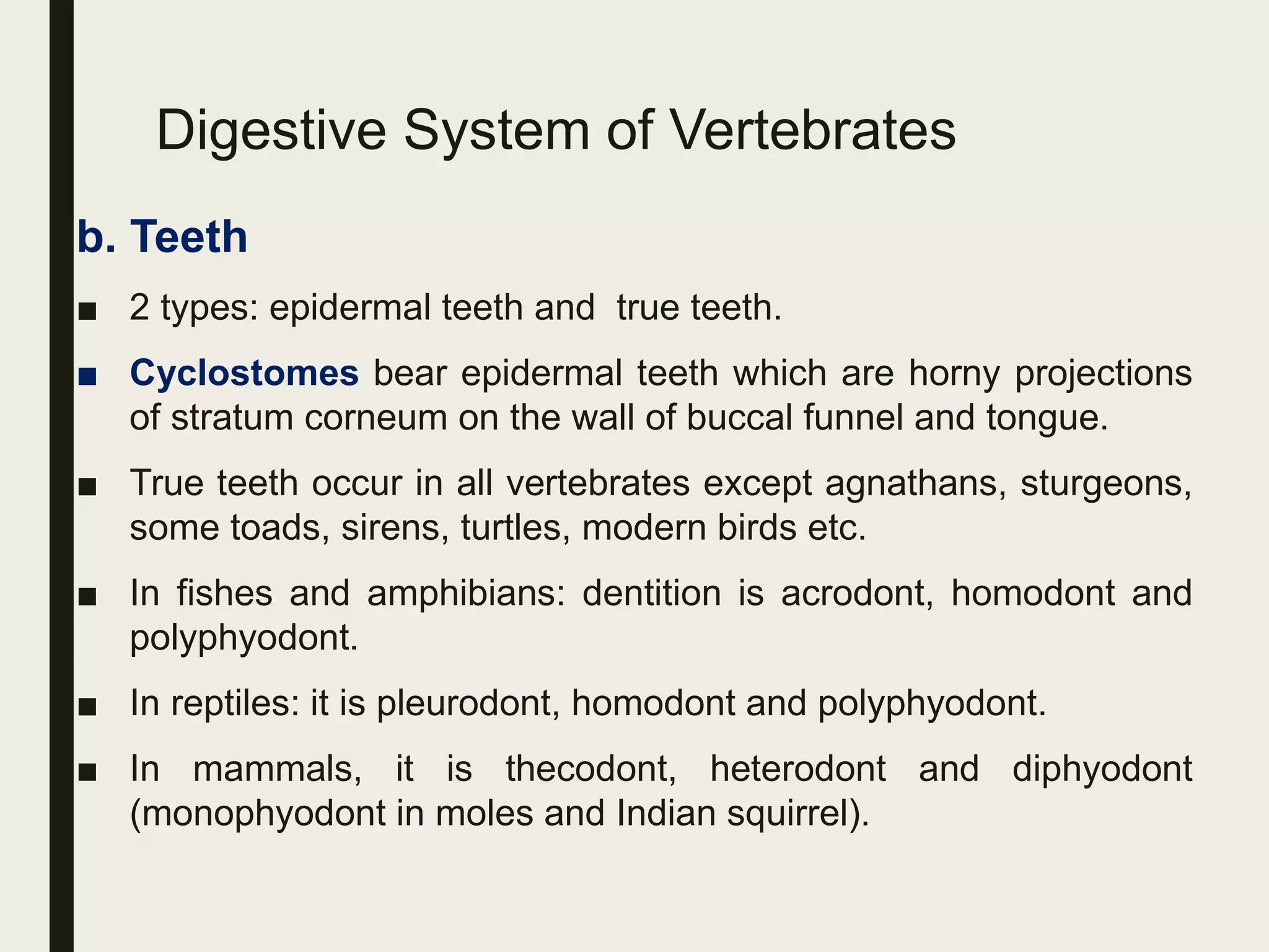 Digestive system of vertebrates | PPTX