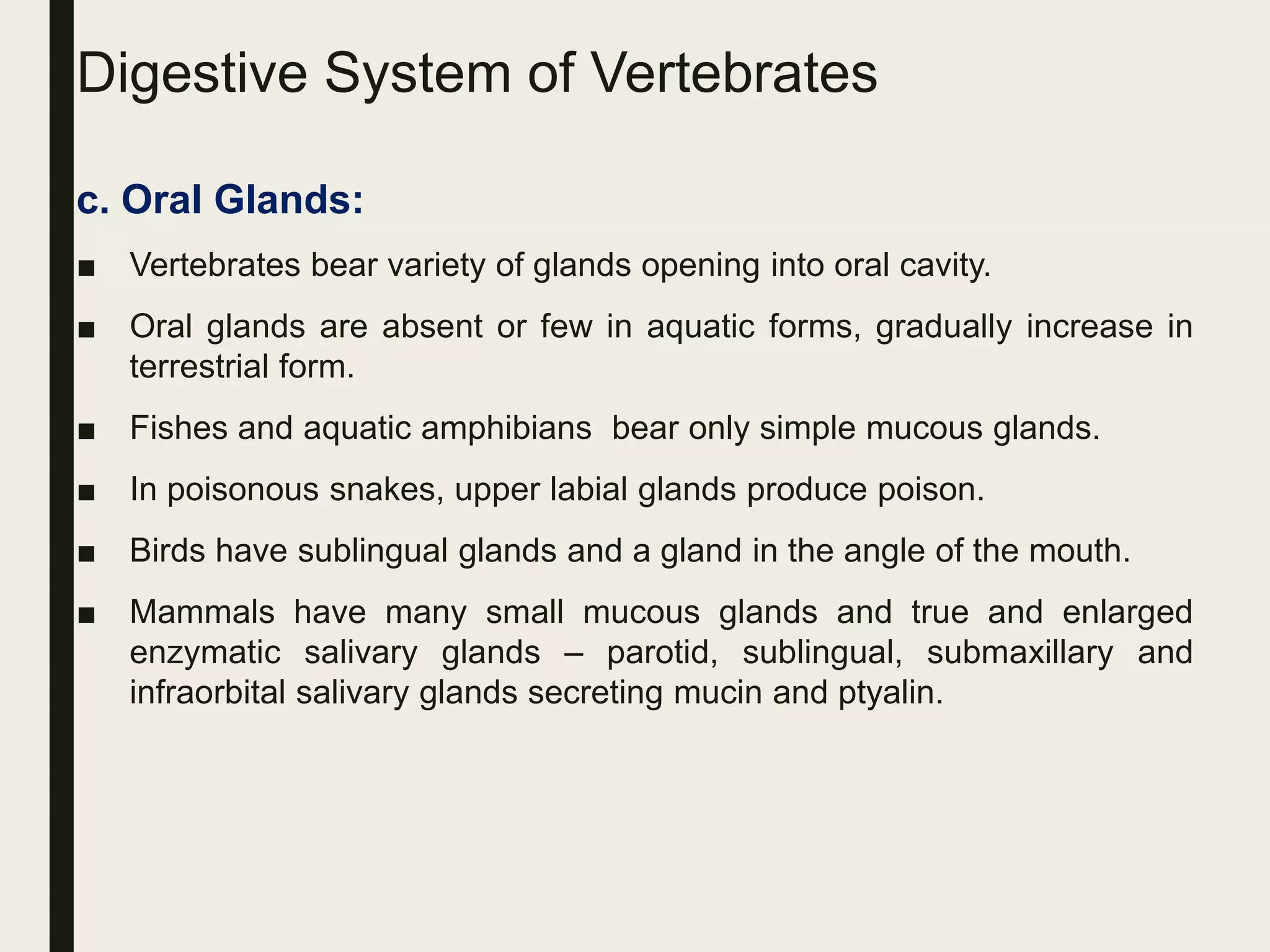 Digestive system of vertebrates | PPTX