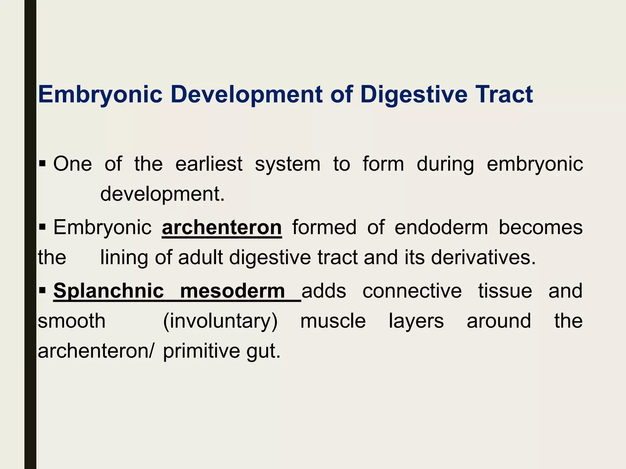 Digestive system of vertebrates | PPTX