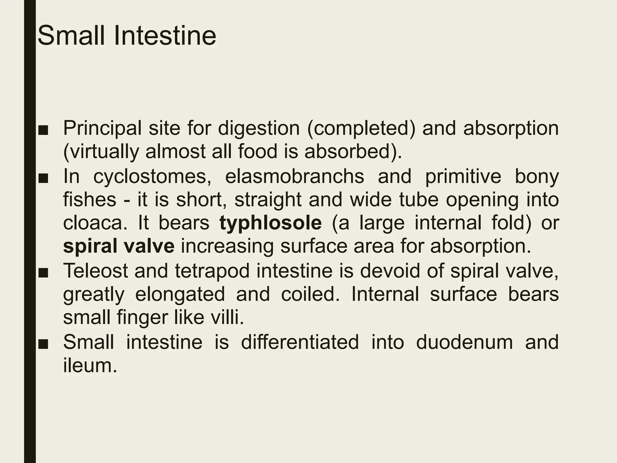 Digestive system of vertebrates | PPTX
