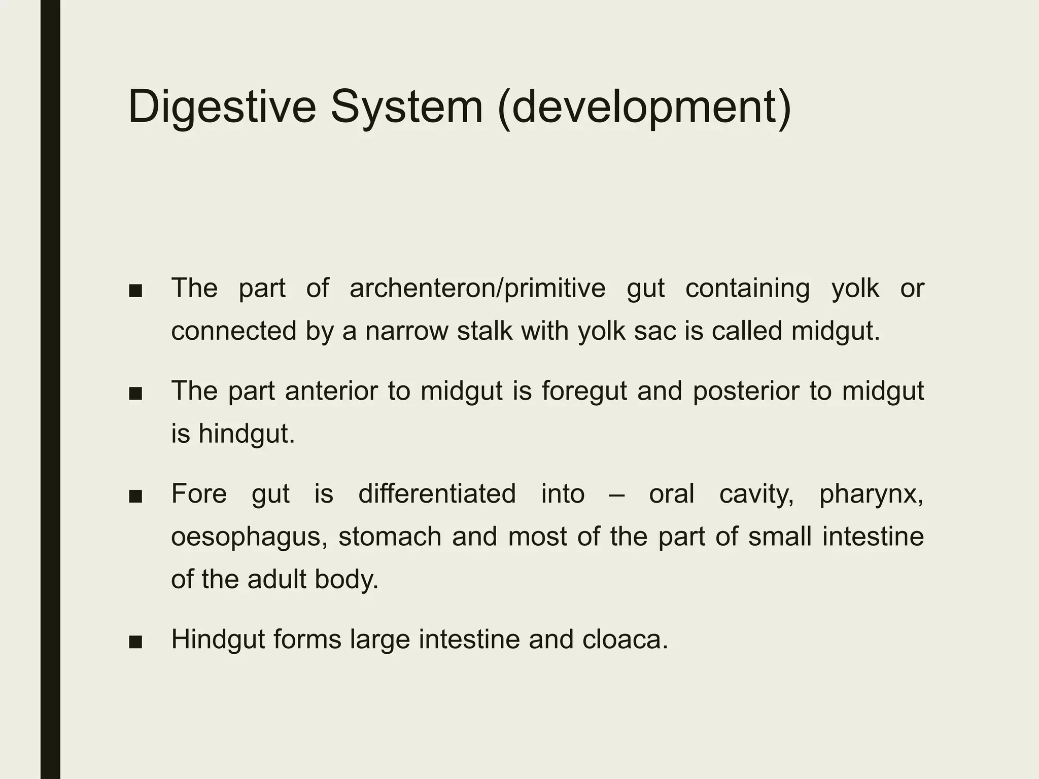 Digestive system of vertebrates | PPTX