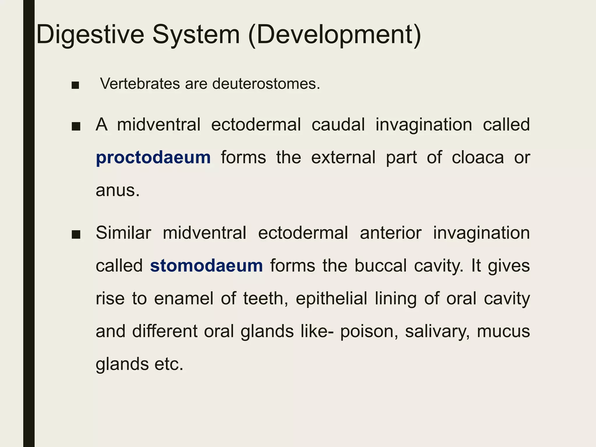 Digestive system of vertebrates | PPTX