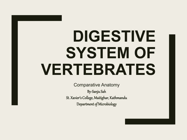Digestive system of vertebrates | PPTX | Digestive Disorders | Diseases ...