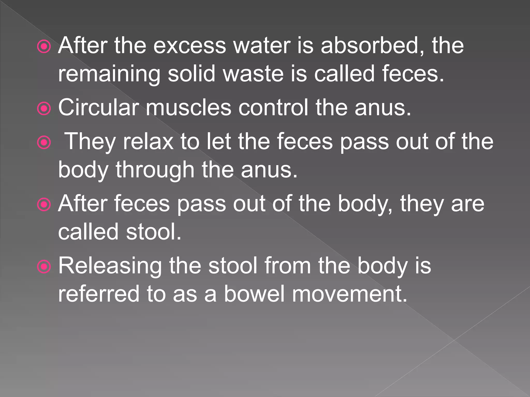 Digestive system organs | PPTX