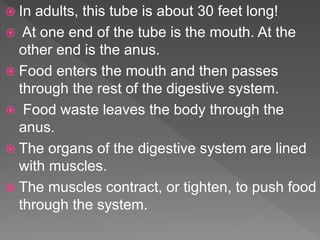 Digestive system organs | PPTX