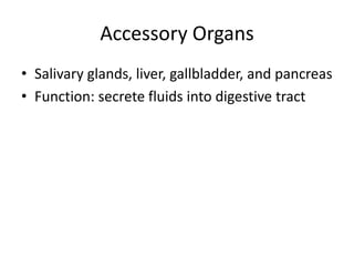Digestive system overview | PPT