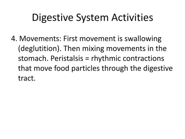 Digestive system overview | PPT