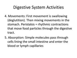 Digestive system overview | PPT