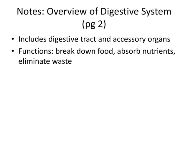 Digestive system overview | PPT