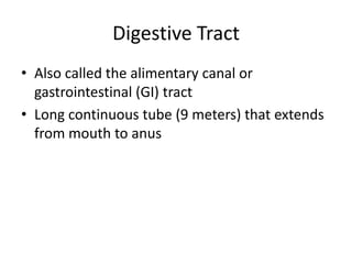 Digestive system overview | PPT