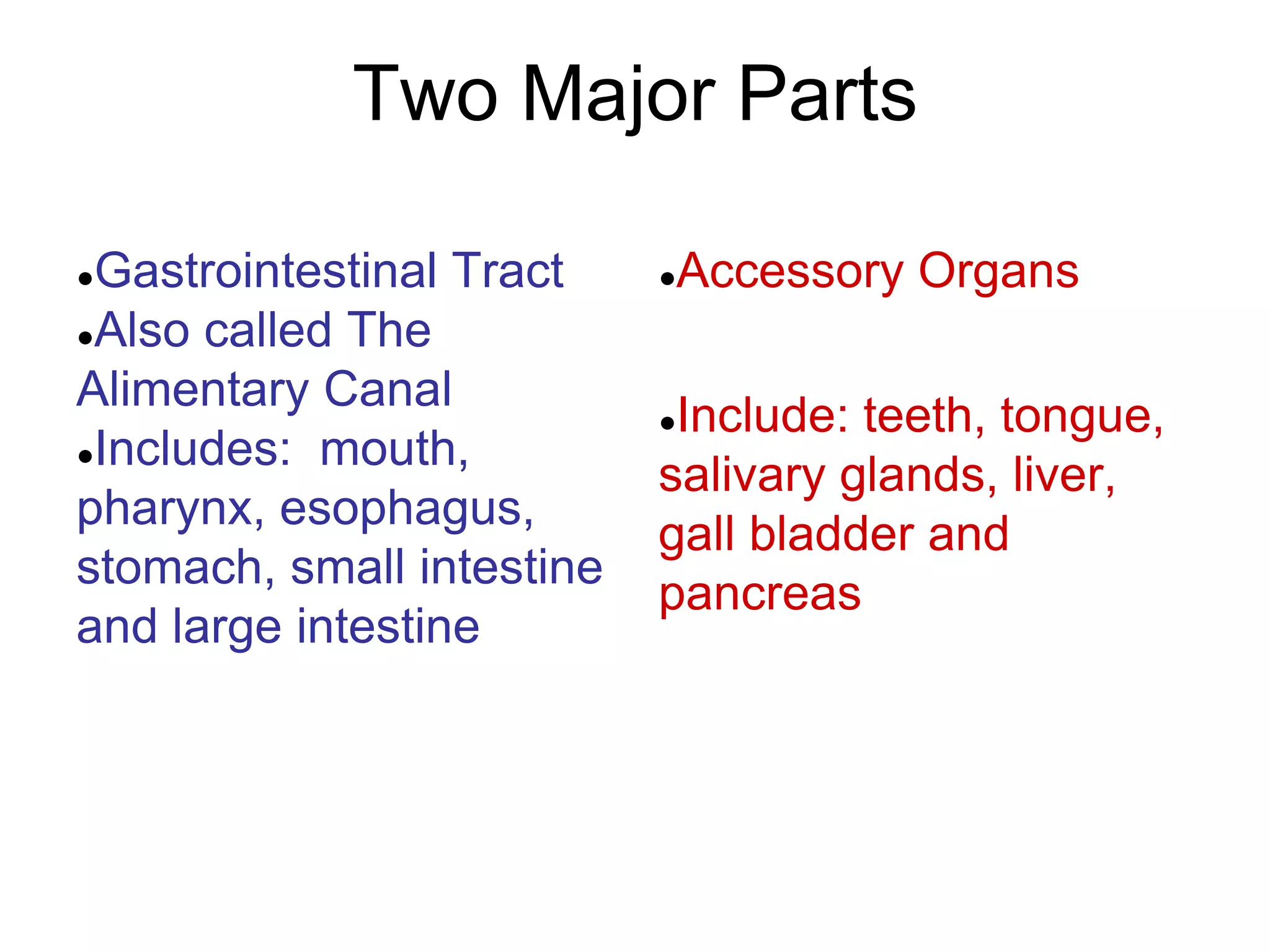 Digestive System Overview.ppt.pptx