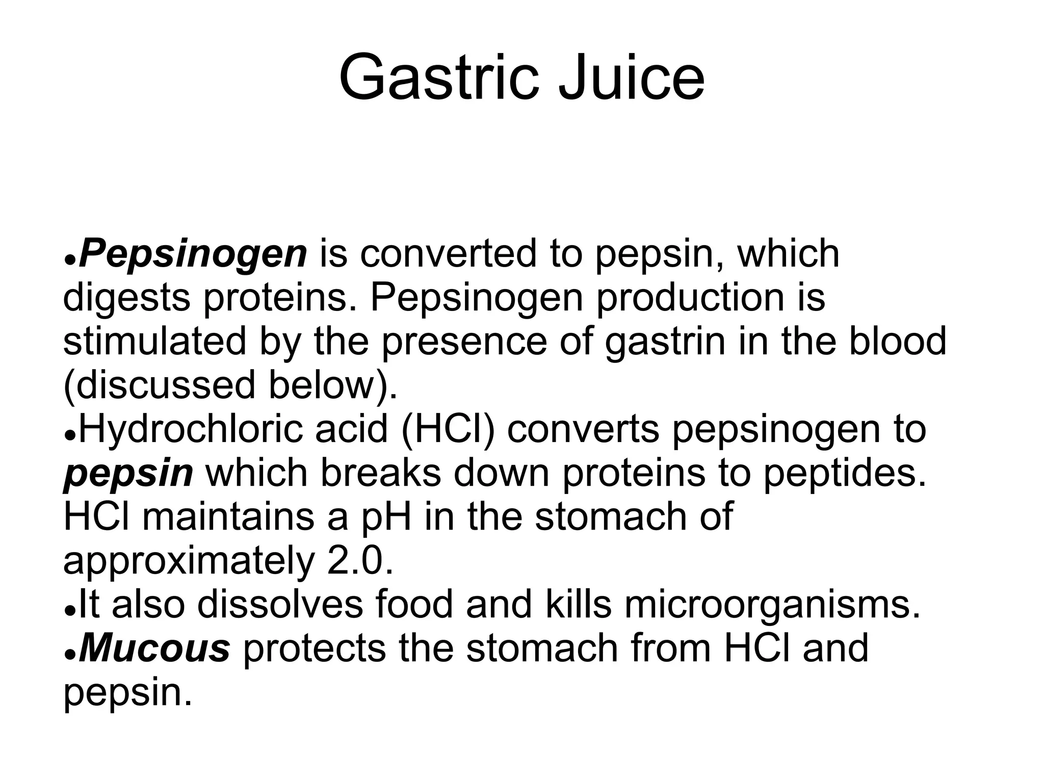 Digestive System Overview.ppt.pptx