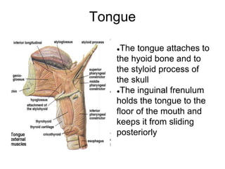 Digestive System Overview.ppt.pptx | Digestive Disorders | Diseases and ...