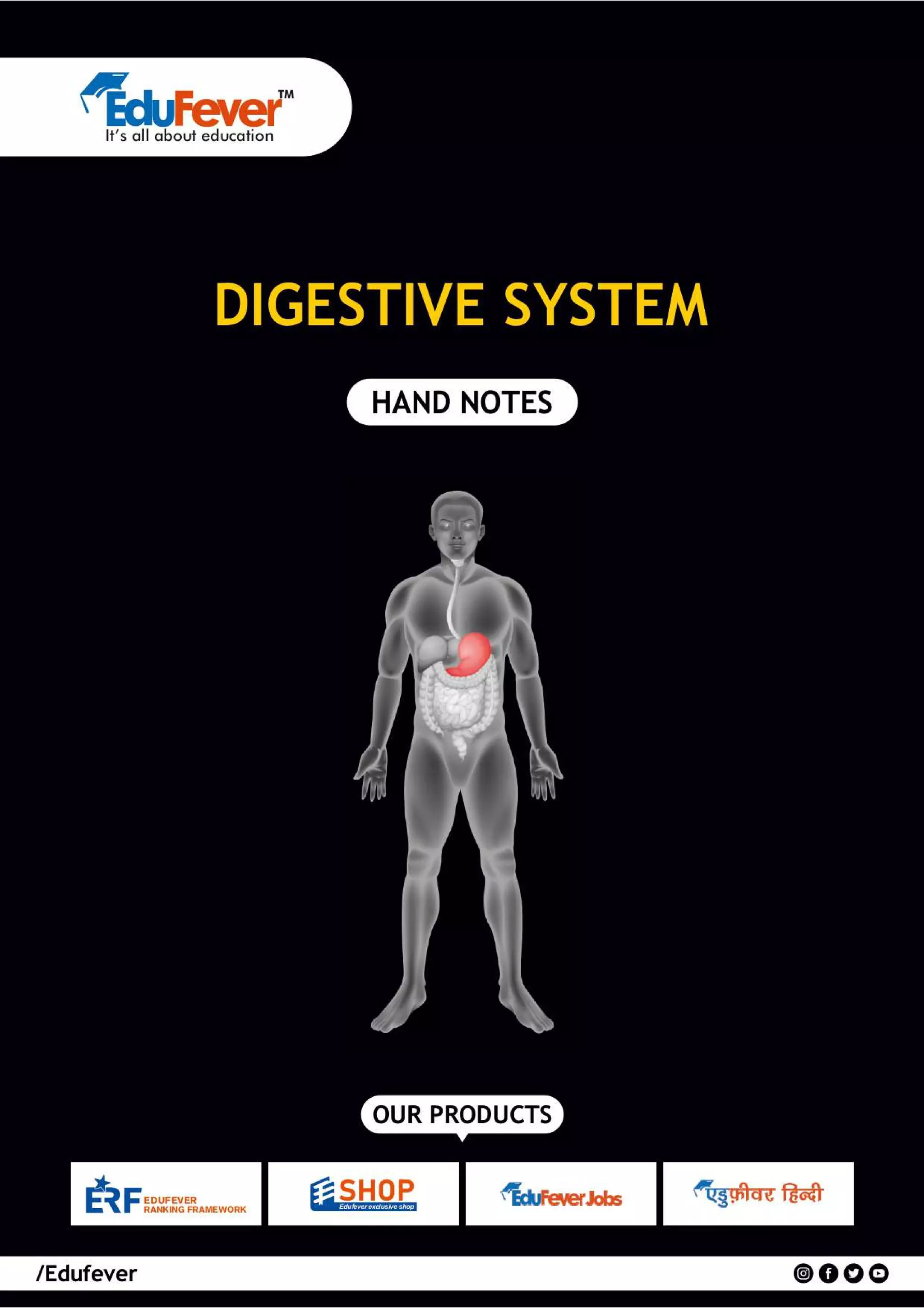 Digestive system - Biology Handwritten Notes | PDF