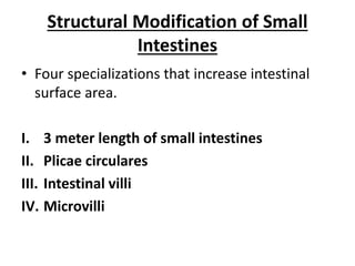 Digestive system part 2 | PPTX