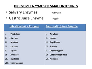 Digestive system part 2 | PPTX